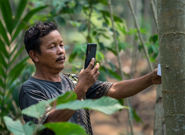 Website für das nachhaltige Start-up TREEO | UO - TRUE DIGITAL PARTNERS ...